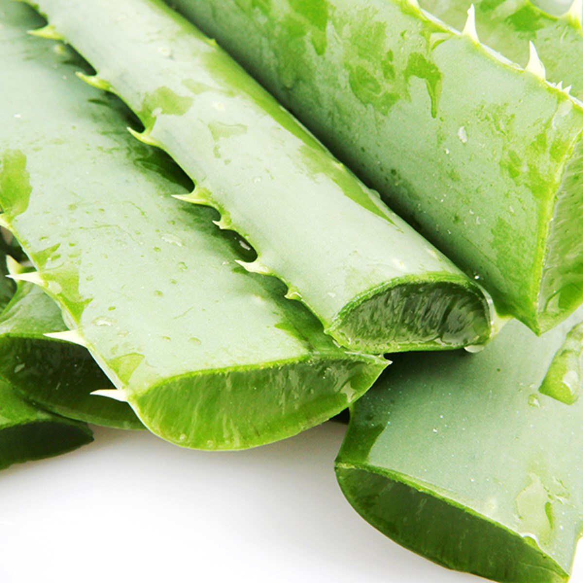 Aloe vera gél: 3 ok, miért készítsük el magunk